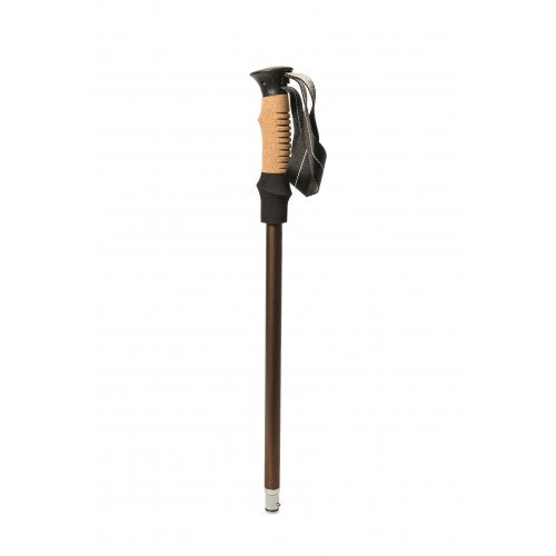 SPACElite Cane All-In-One, Hiking Handle Extension – mobilityjoy